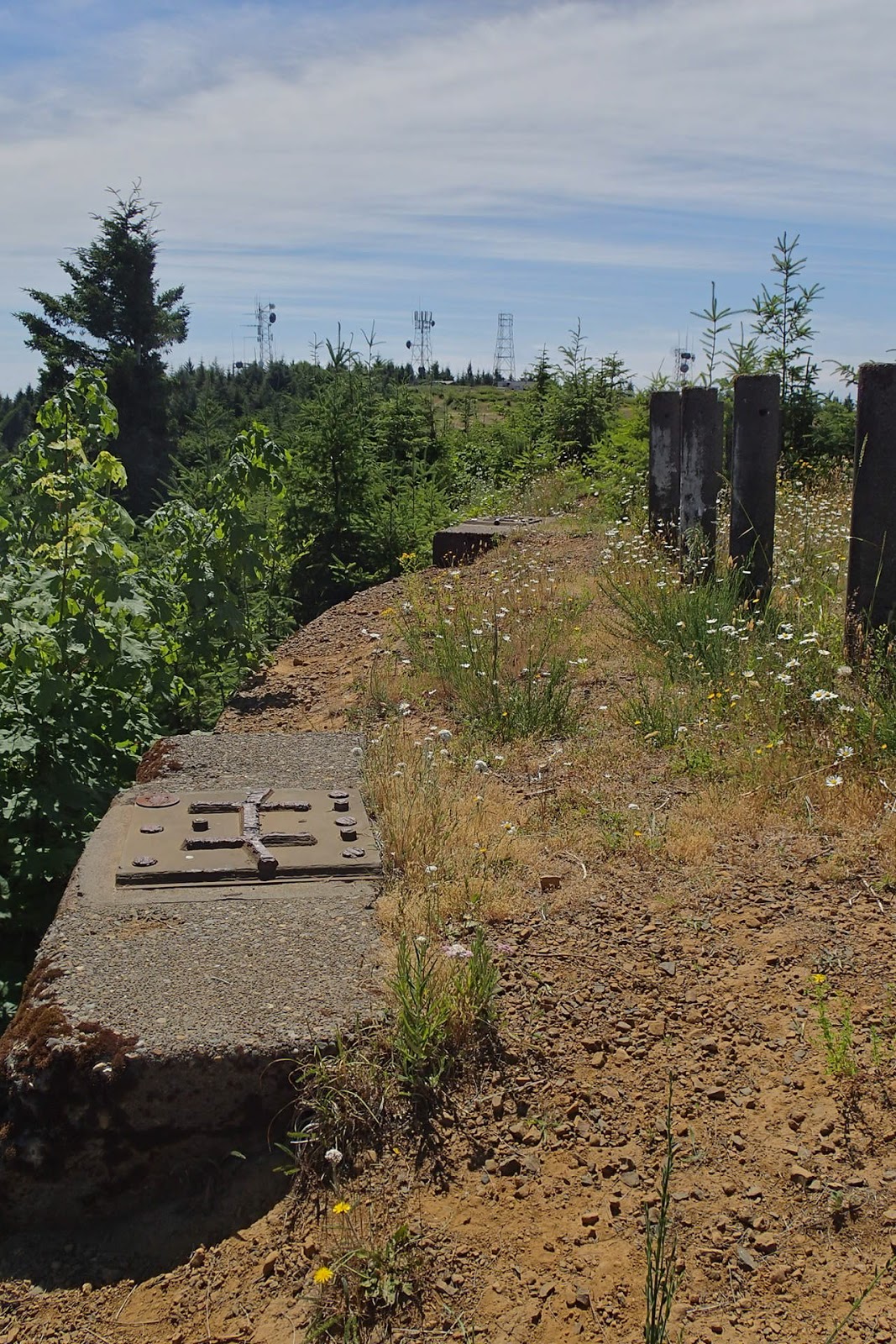Casing Oregon: A Mt. Hebo Family Gathering: Ravens, Radar, and Rough ...