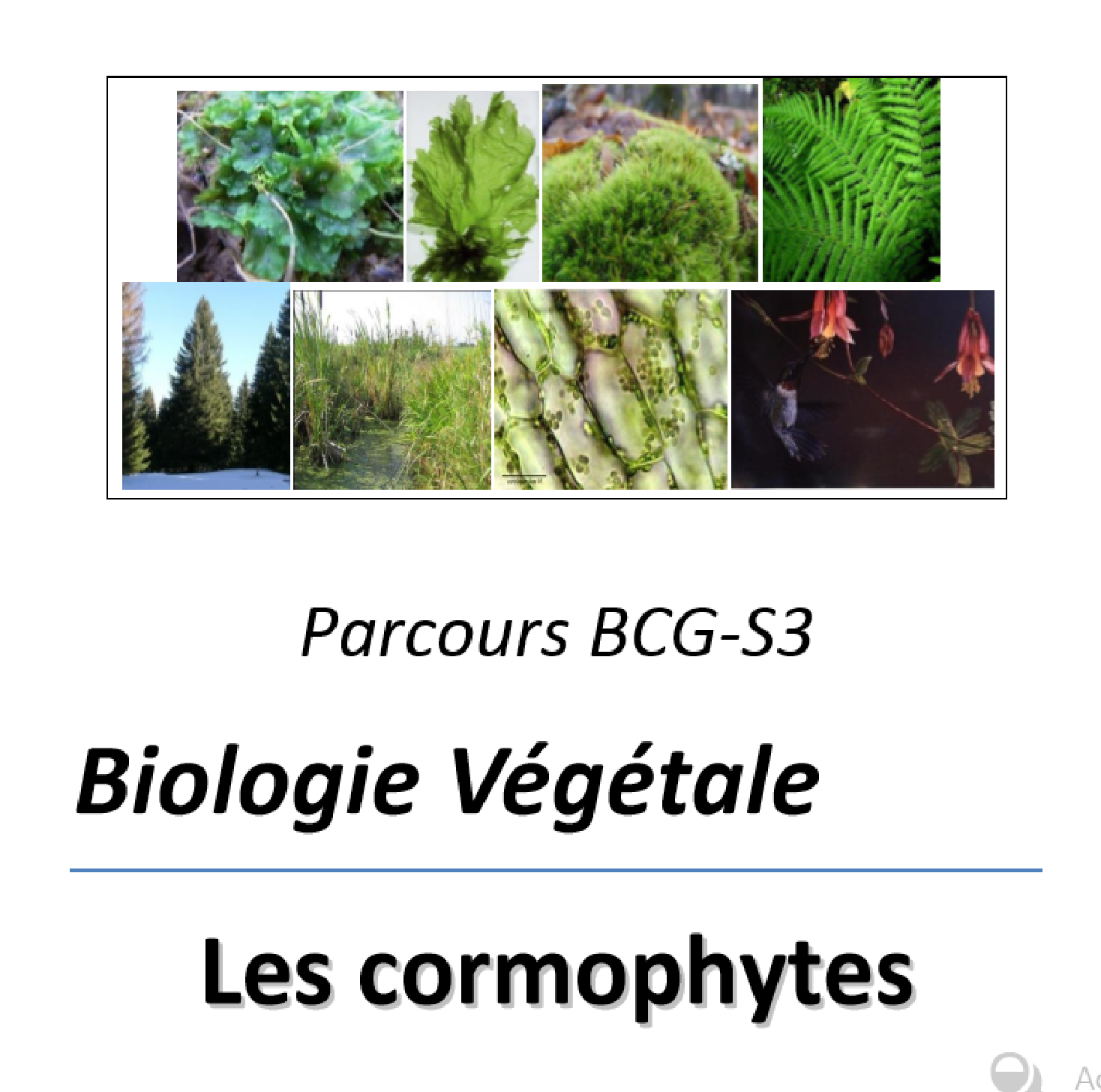 Cours de Biologie Végétale de FST Errachidia