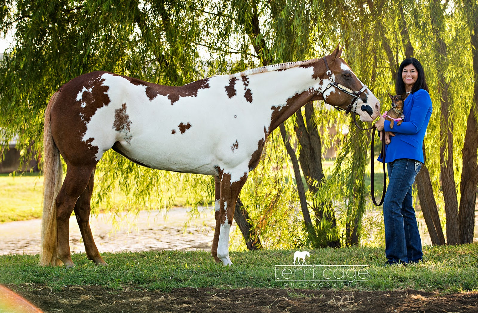 Terri Cage Photography: Texas Equine Photographer | Equine Portraits ...