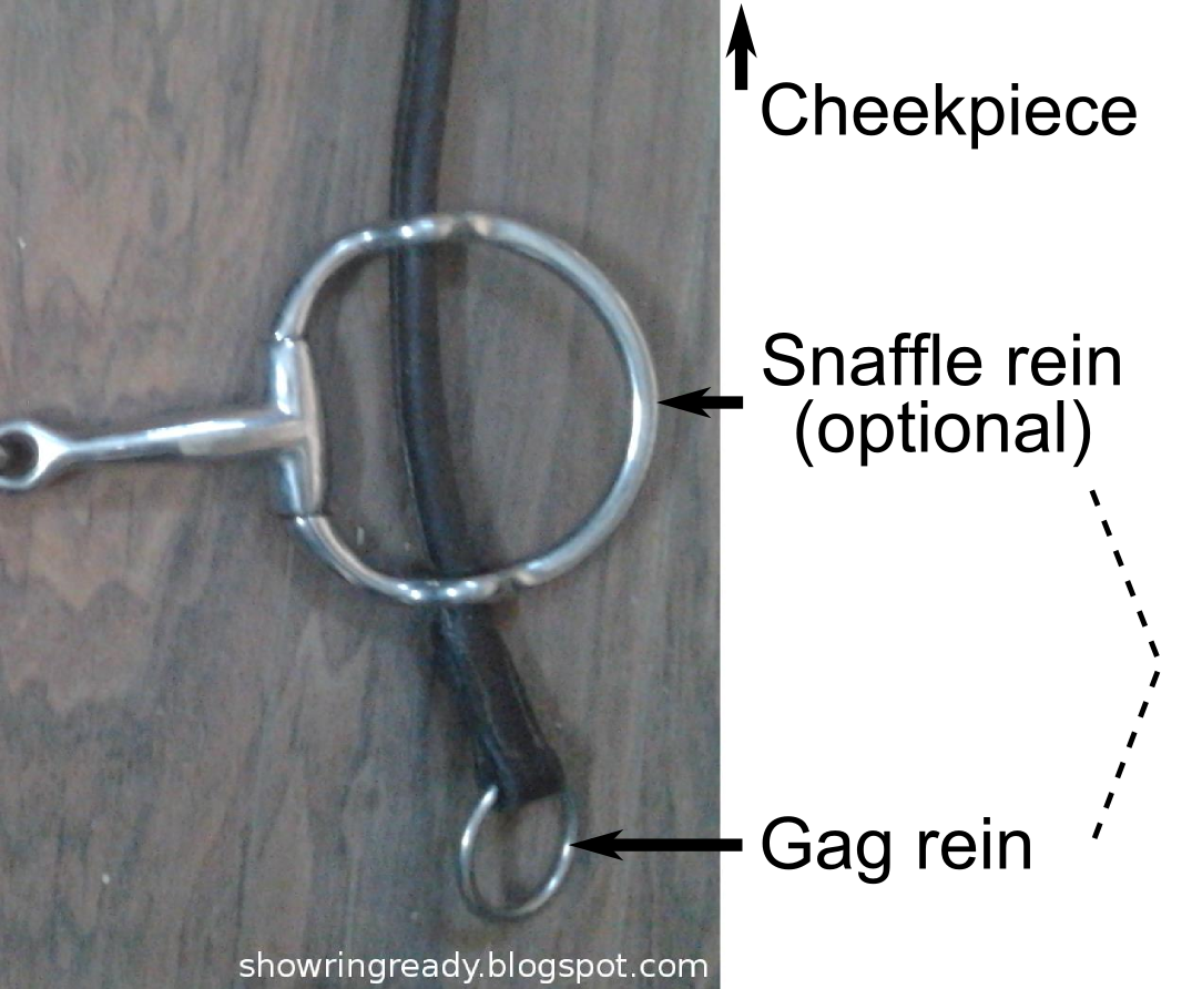 Show Ring Ready: Bitting Arrangements