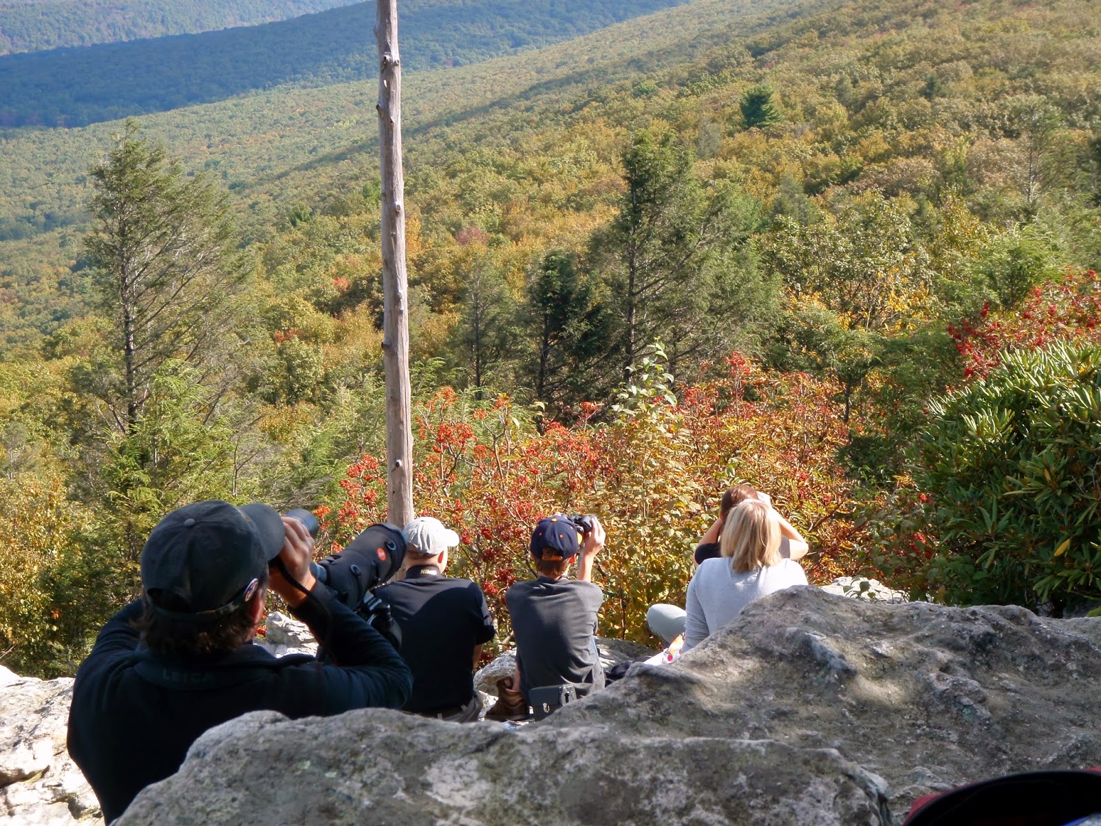 One Day in America: Hawk Mountain Sanctuary, Kempton, Pennsylvania
