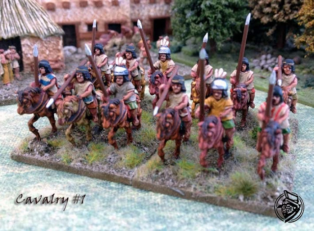 Petites guerres précolombiennes : Mapuches ou Araucans, une armée ...