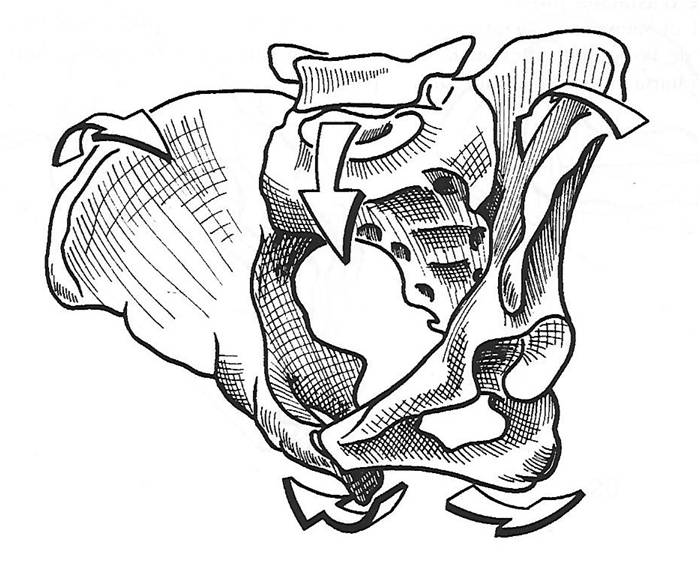 Valoración del movimiento y prescripción de ejercicio: EL SUBSISTEMA ...