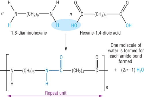 savvy-chemist: Condensation Polymers (2) Polyamides