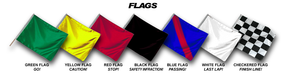 FLOWERSBLOOMS by "Elvie": Go Karting at Lemans