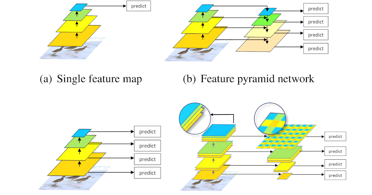 The Star Also Rises: STDN