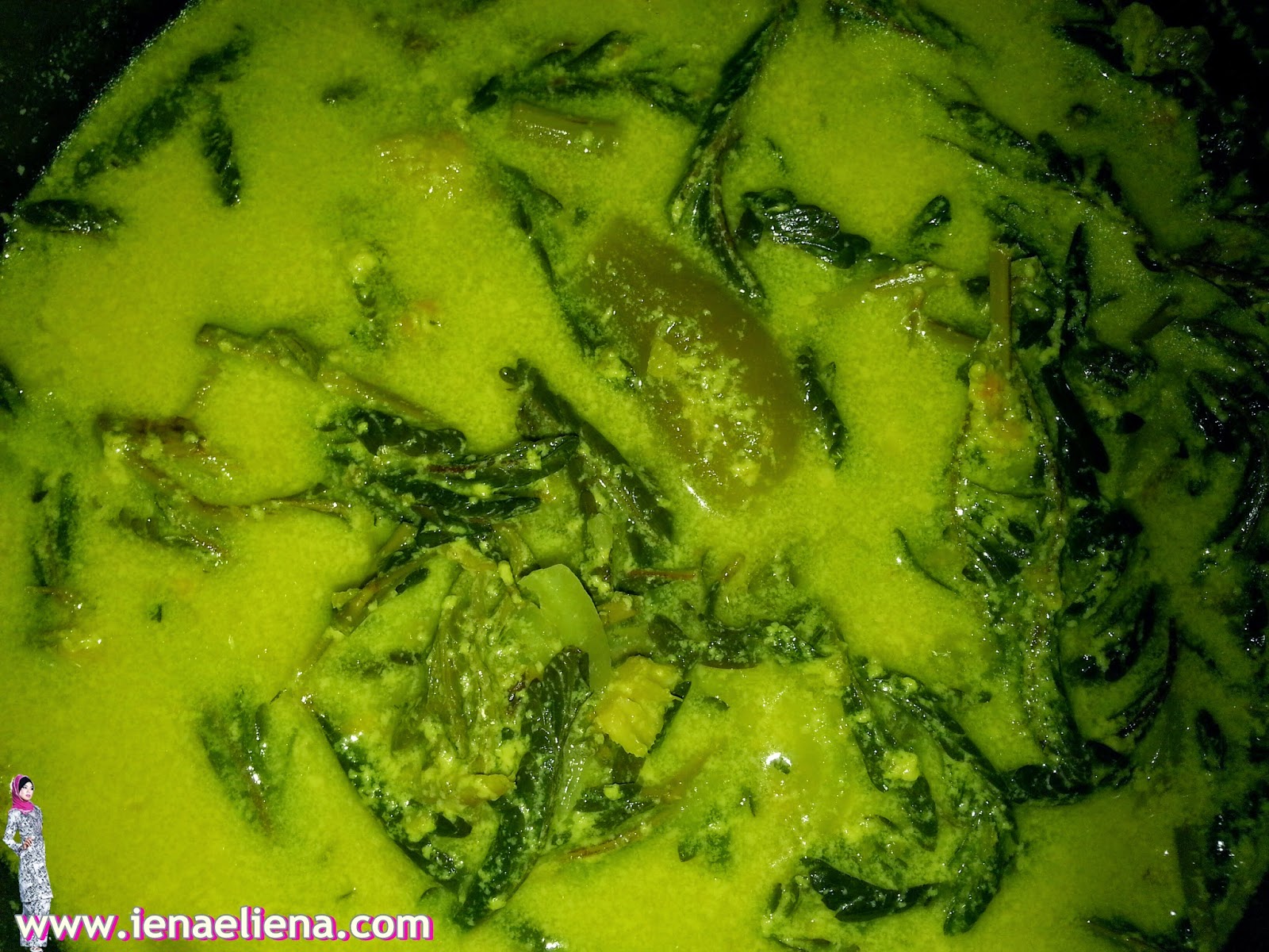 PUCUK GETI ATAU PUCUK TURI DAN KHASIATNYA - iena lifestyle blogger