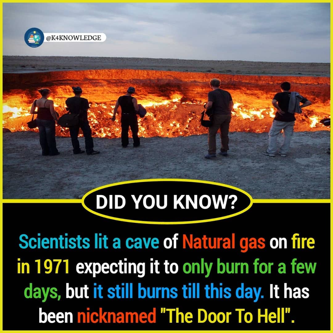 [50+] Amazing Facts that you Should Know