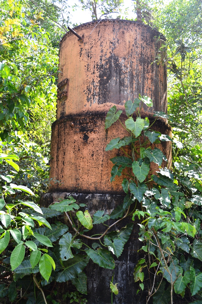 PATRIMÔNIO TRADICIONAL: CURURUPU: uma breve história