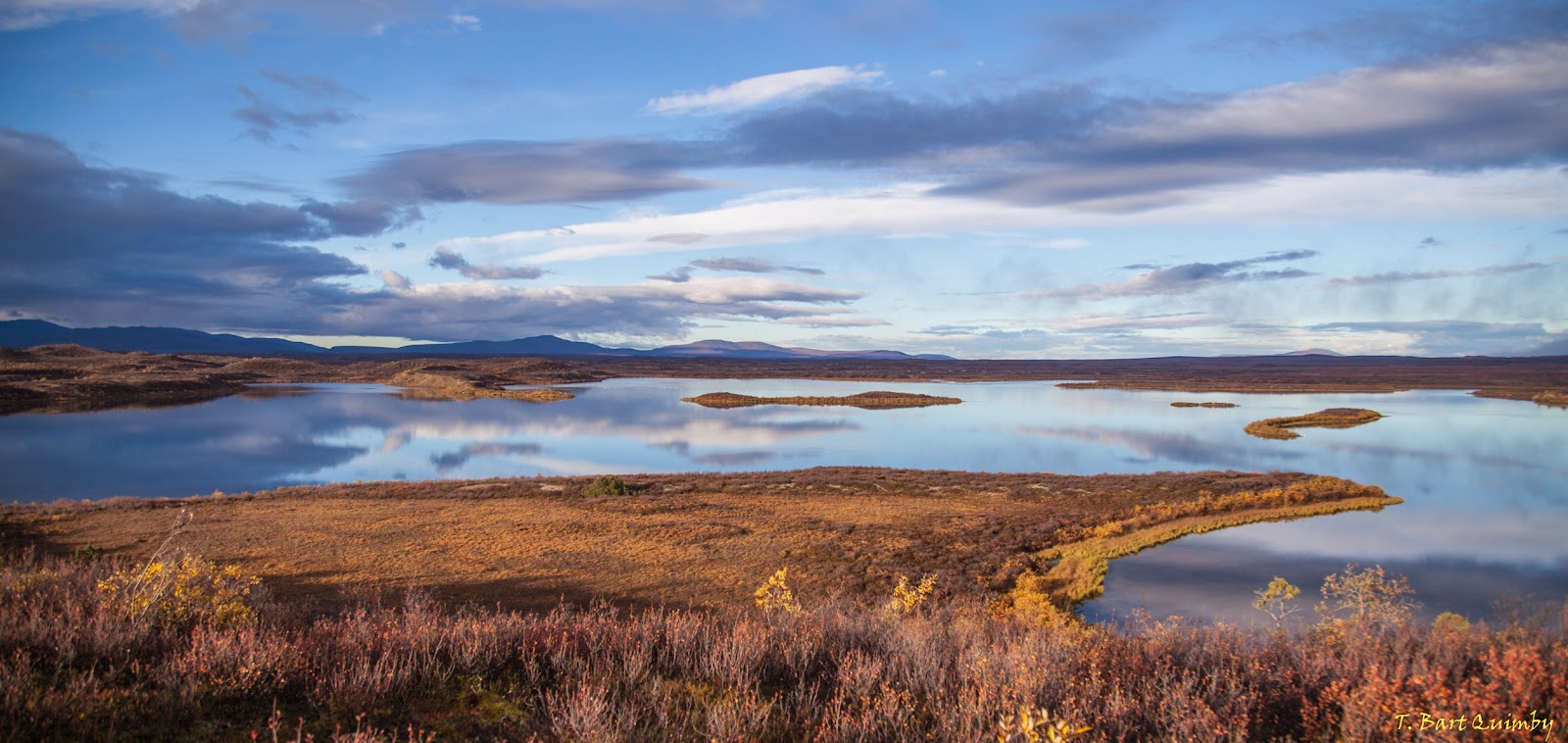 The Show and Tell Nature Blog: Tangle Lakes