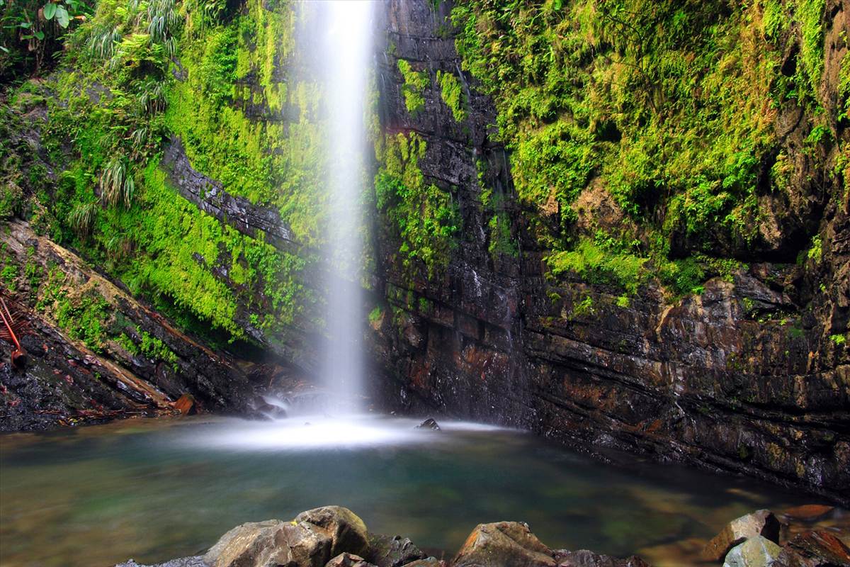 Beautiful Place Called Earth El Yunque National Forest