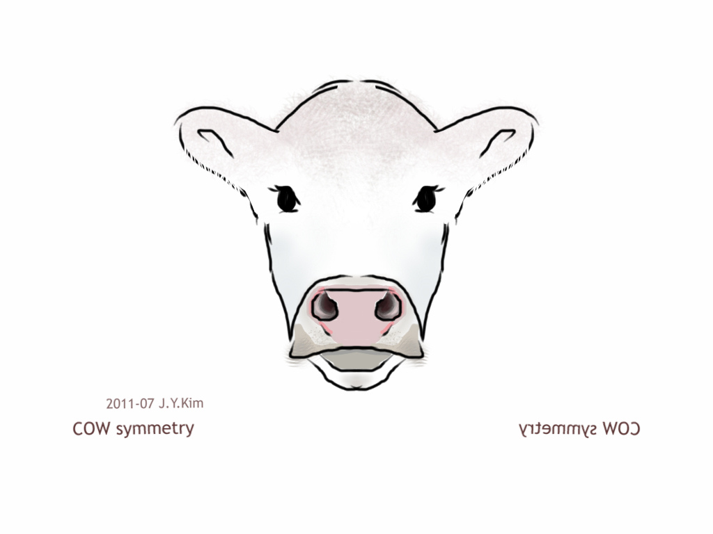 juyeop's: cow symmetry