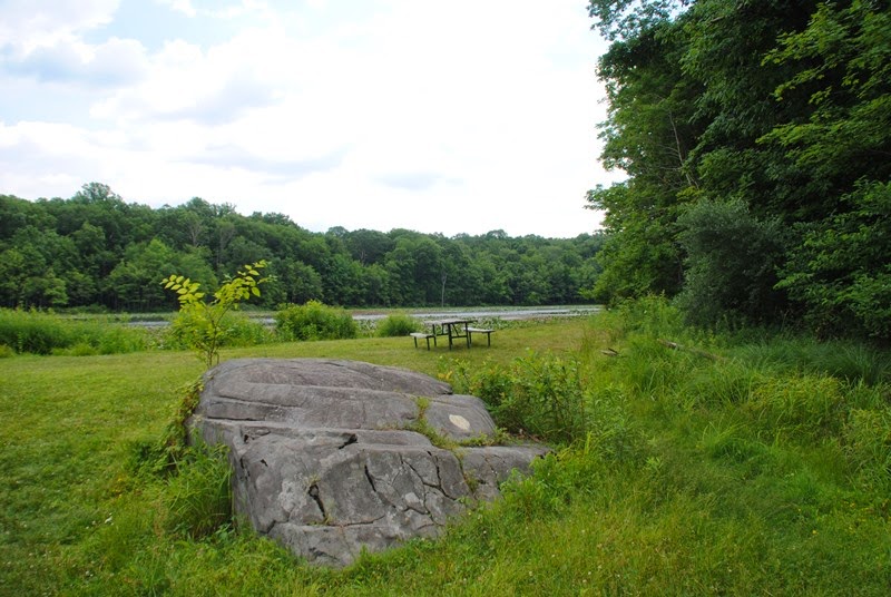 Southeastern PA Hiking: Lake Towhee County Park