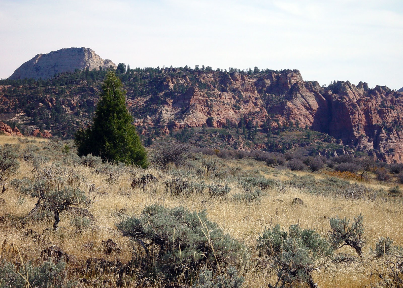 Eden By The Bay: Zion National Park