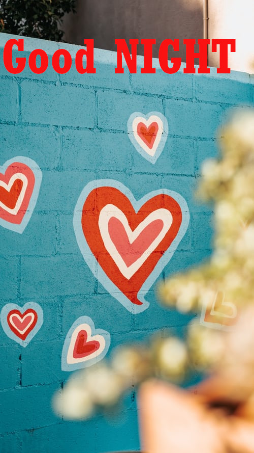 Top 50 beautiful Good Night Images greating Pictures,Photos for ...