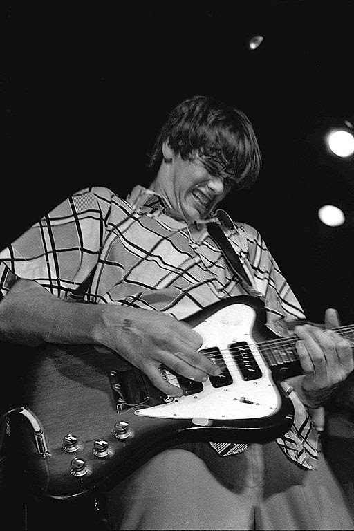 There's Something Hard in There: Ron Emory / Top guitarists series, Part 2