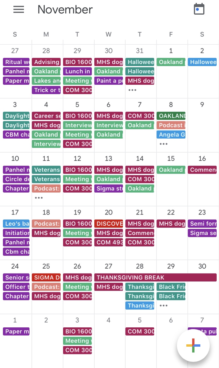 Cue the Coffee: My Planning and Organization System | Google Cal, Day ...