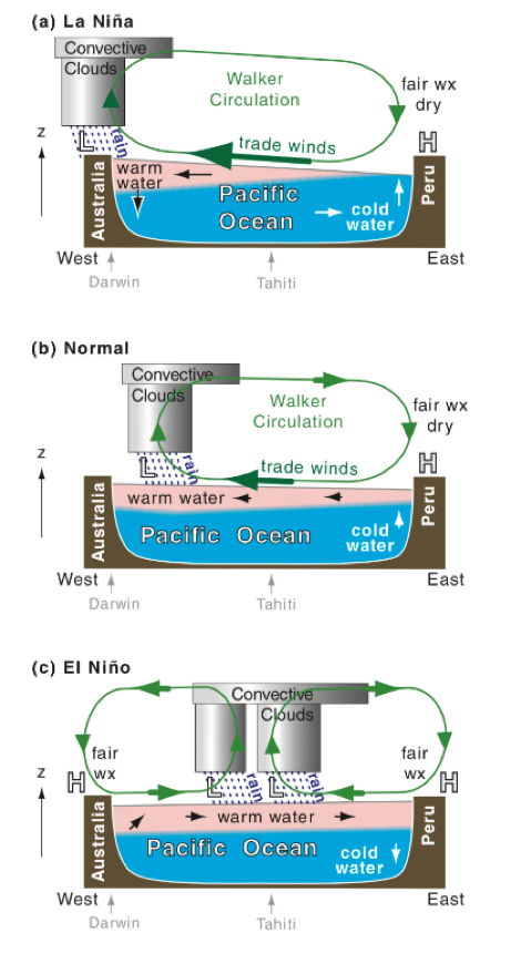 The Weather Centre: 2019