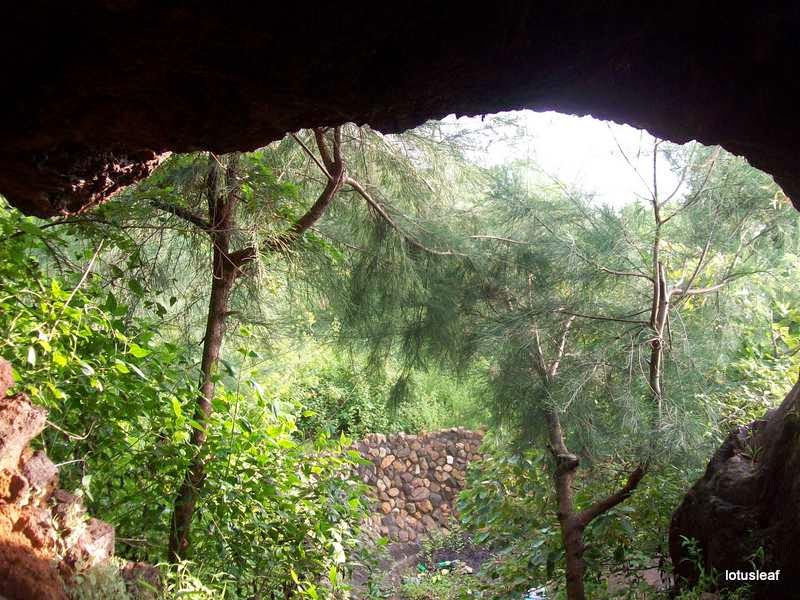 Travel Adventures: Nagabana- the Garden of Serpents