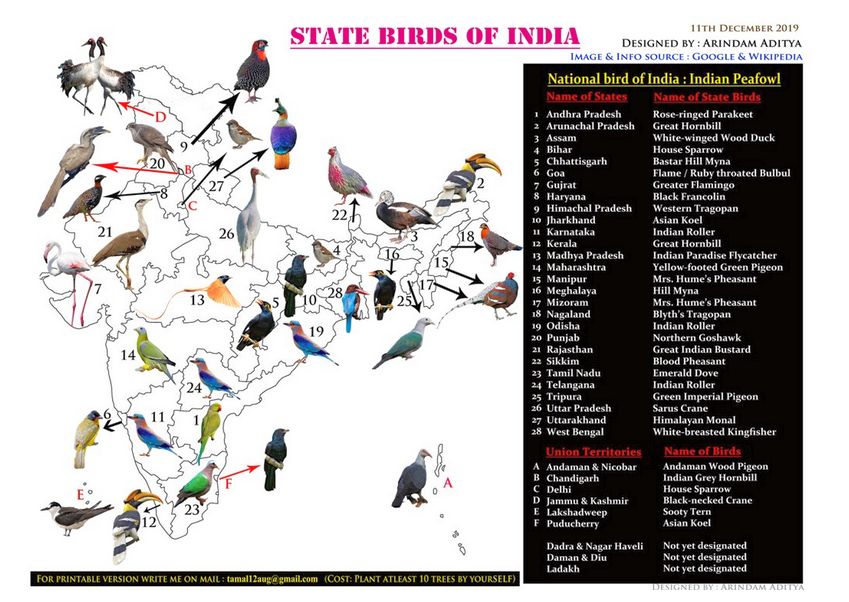 State Birds of India - ARUNACHALA BIRDS