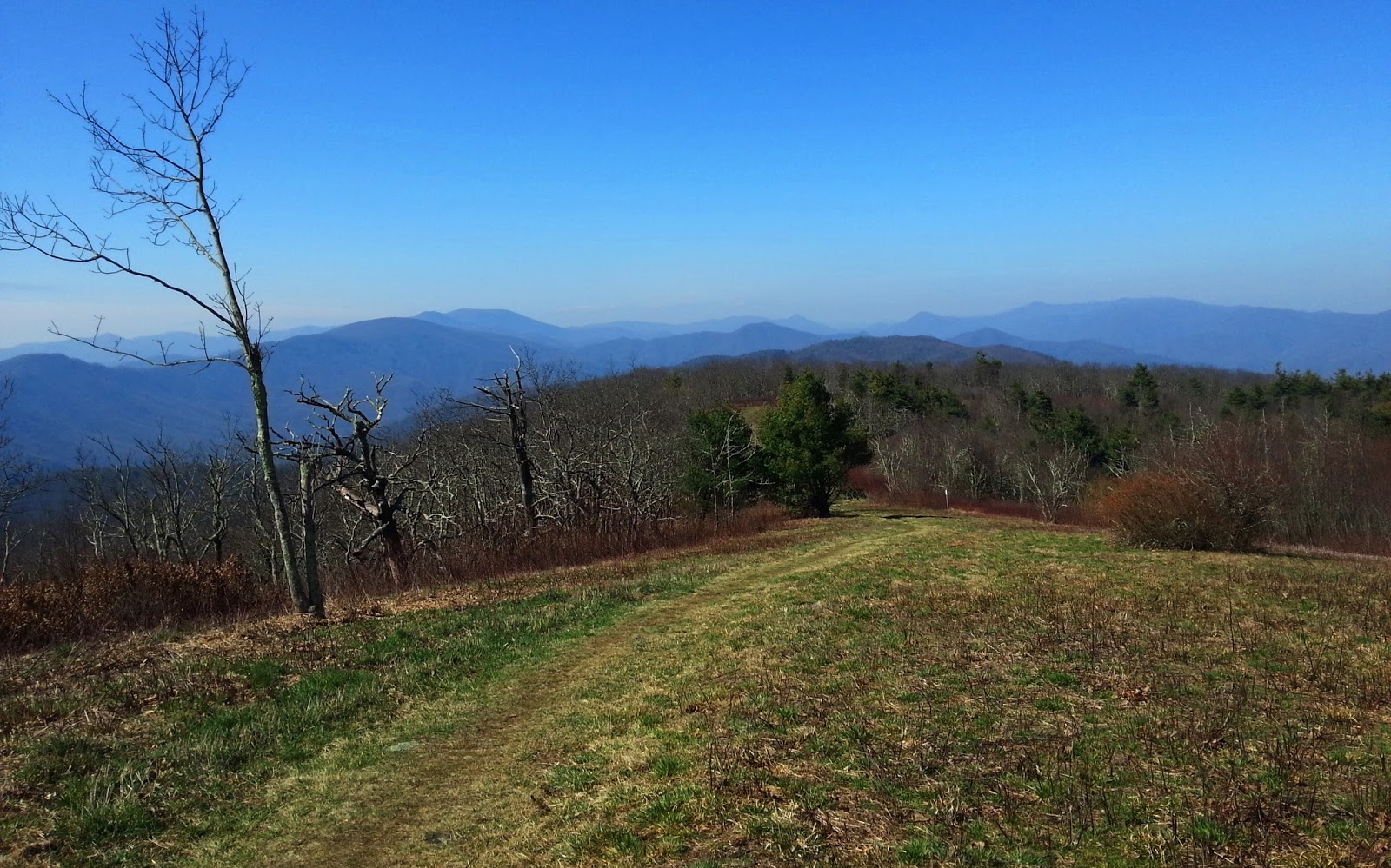 Smoky Scout's Hiking Adventures: AT in TN: Beauty Spot & Unaka Mountain