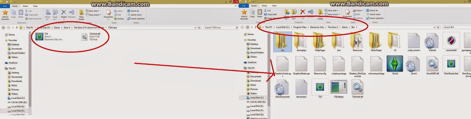 The sims 3 game bin folder download - biofinal