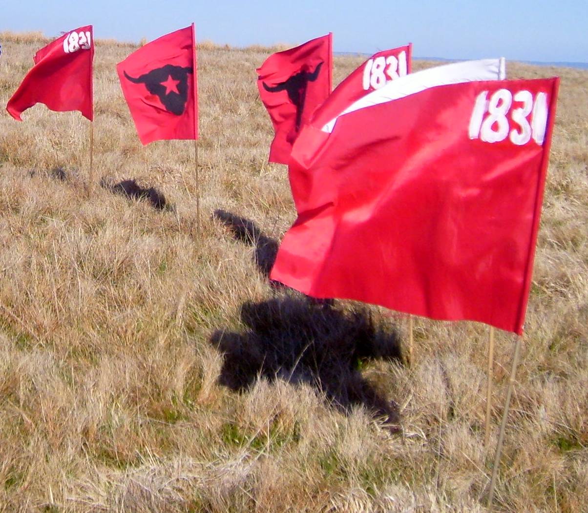 Democracy and Class Struggle: Wales : First raising of the Red Flag in ...