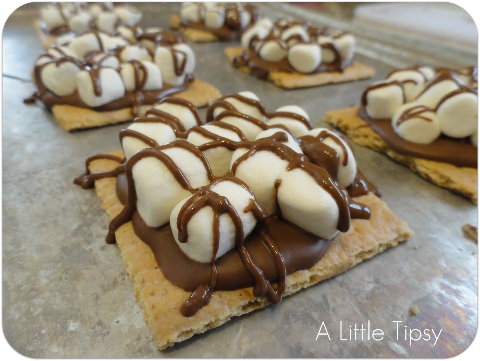 DIY Under $5 {Smores Recipe} - A Little Tipsy