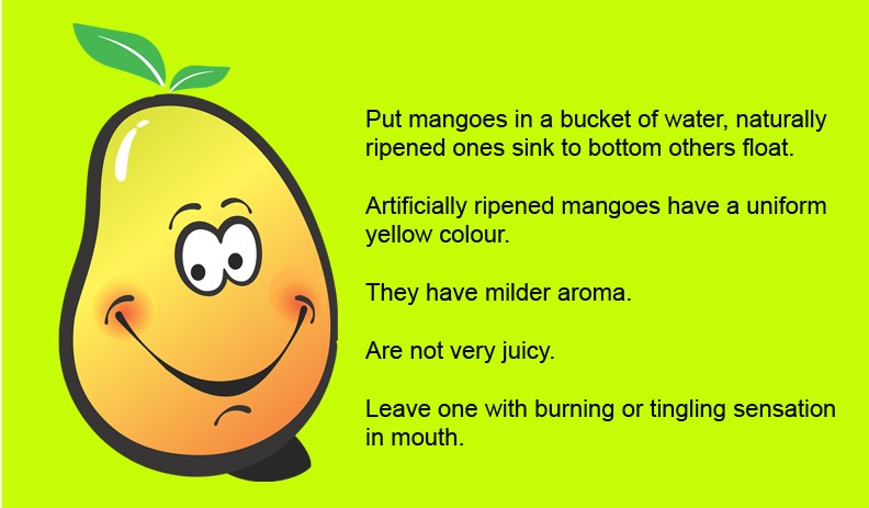 How To Identify Artificially - Ripened Mangoes
