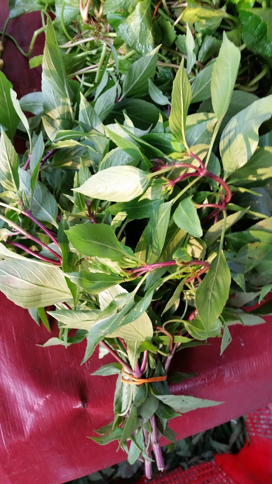 Warisan Petani: Pokok Selasih