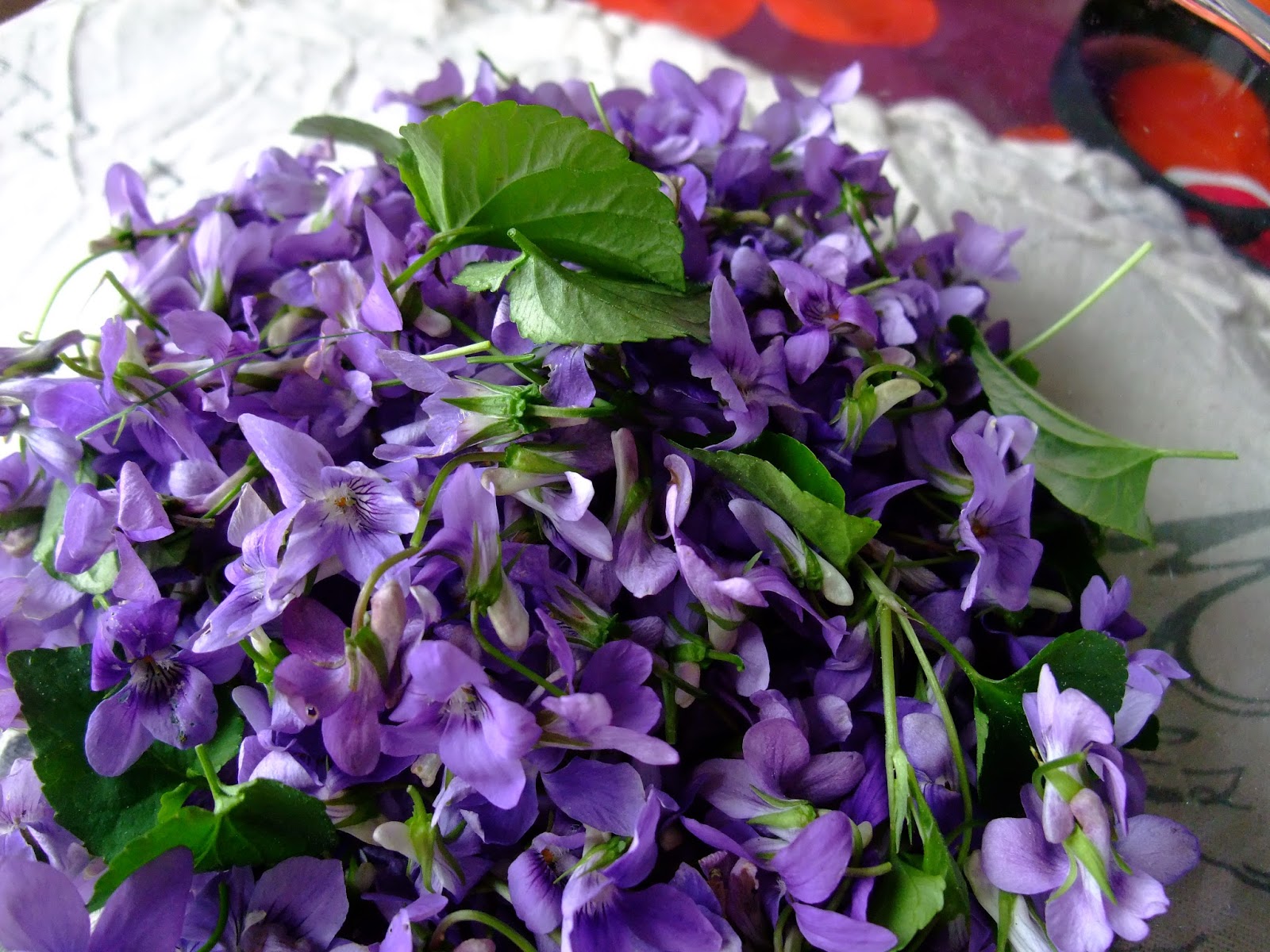 HERBAL PICNIC: SWEET VIOLET