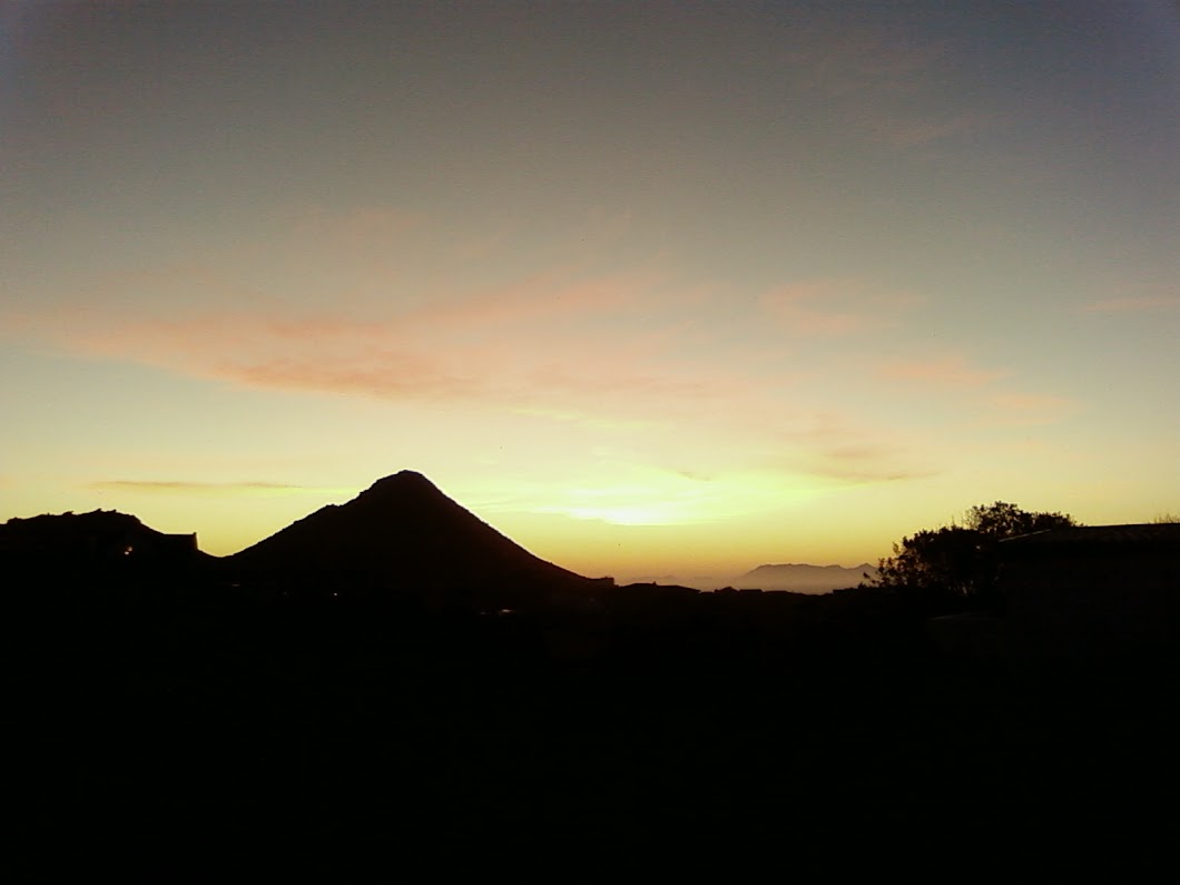 Photos from the Cape: Pringle Bay