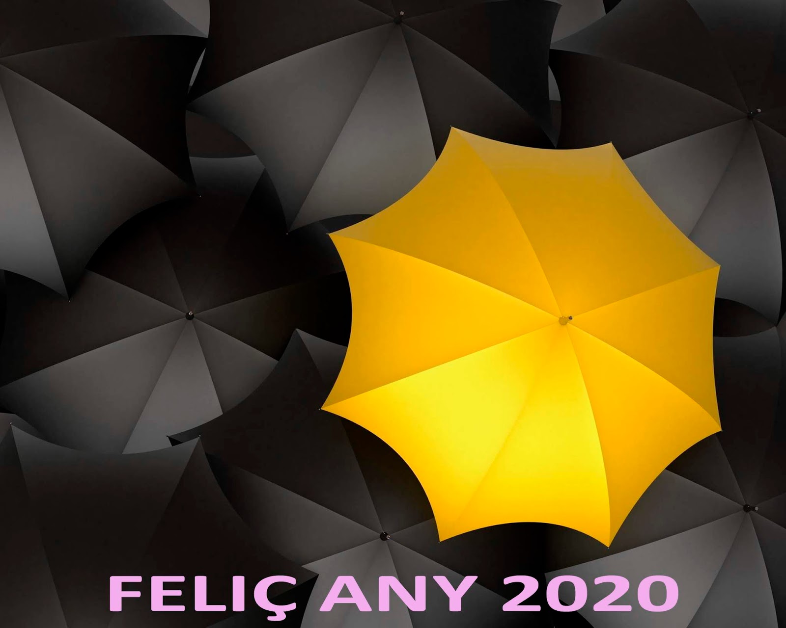 xàtiva; punts de vista: ¡Un feliç any 2020 en llibertat!