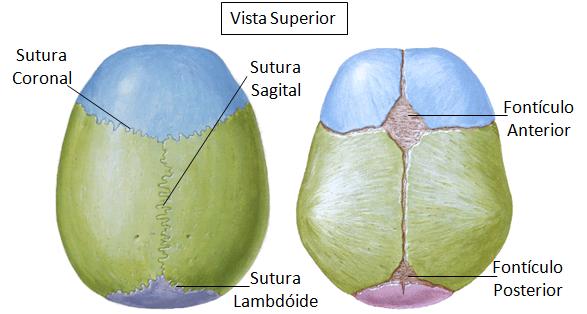 06/21/16 | Biologia: A ciência da vida