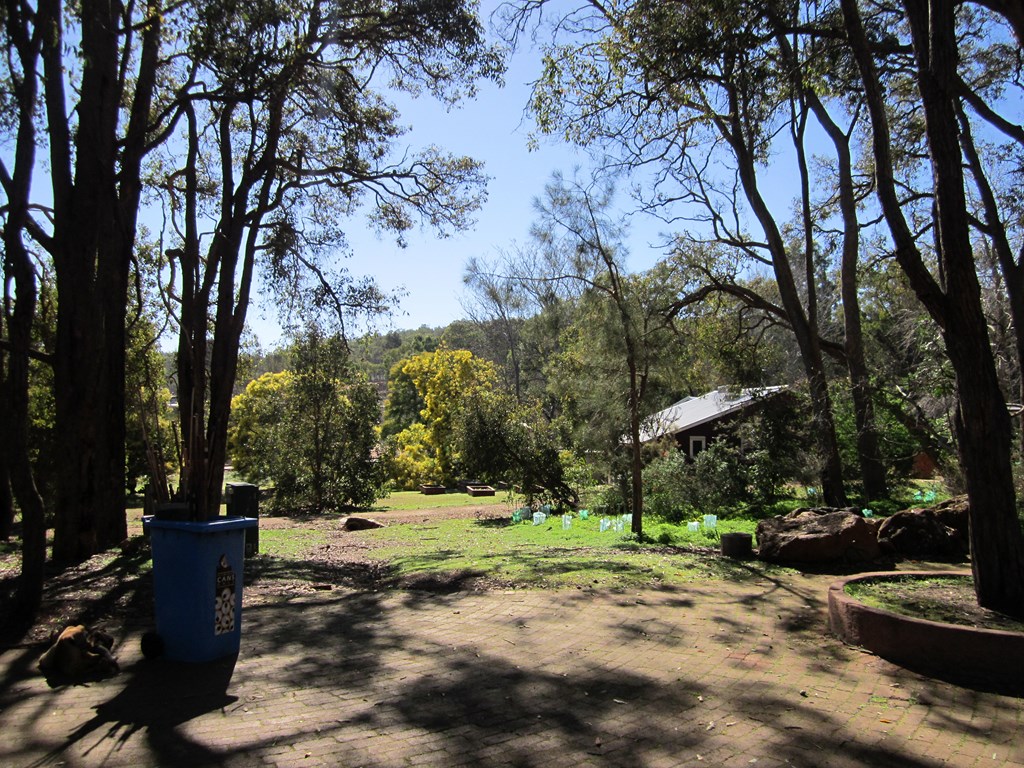 Down the Right of Way: Perth Hills Discovery Centre Excursion