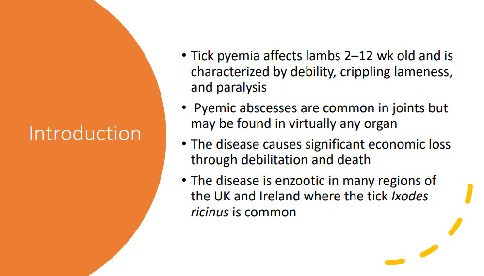 Tick Pyemia of Lambs