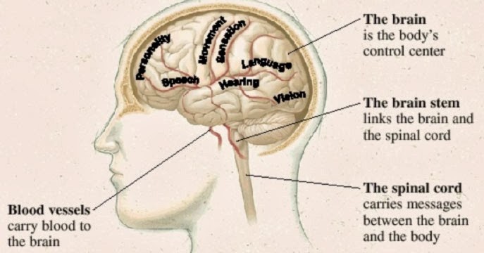 the virtuous journey: Jesus is the Head