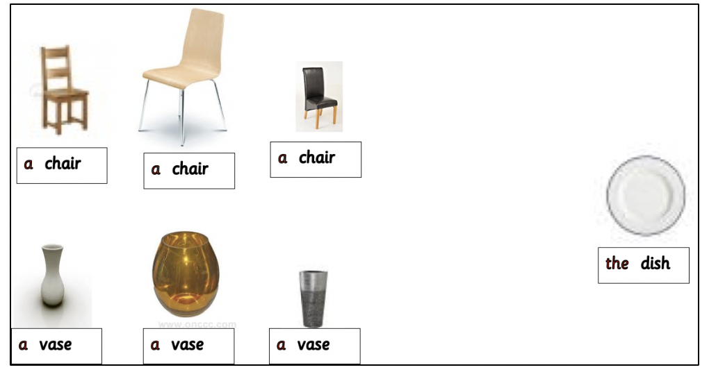 Montessori AMI 3 to 6: FUNCTION OF WORDS: THE ARTICLE GAME