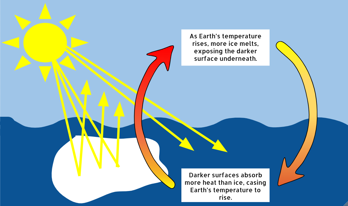 Roneeza @ Saint Patrick's School: The Ice Albedo Feedback Loop