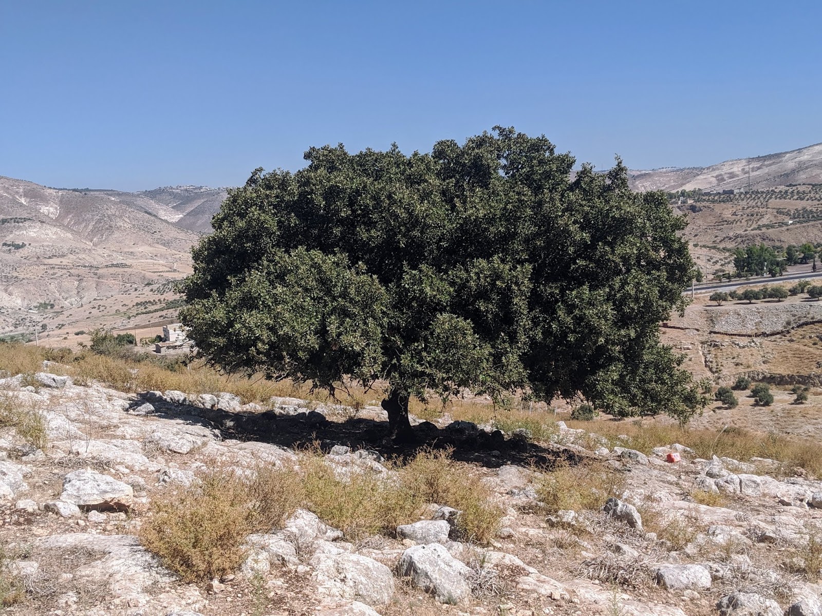 Hiking Across Jordan (part 1)