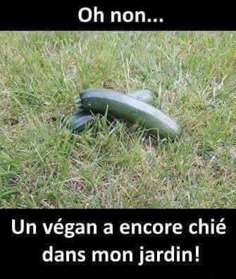 Le grenier du Faucon: Caca vegan #betise