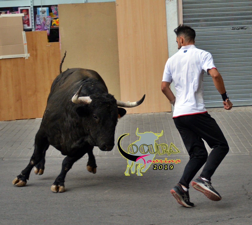 LOCURA TAURINA: ARGANDA DEL REY: TORO REZAGADO POR LA C/ REAL