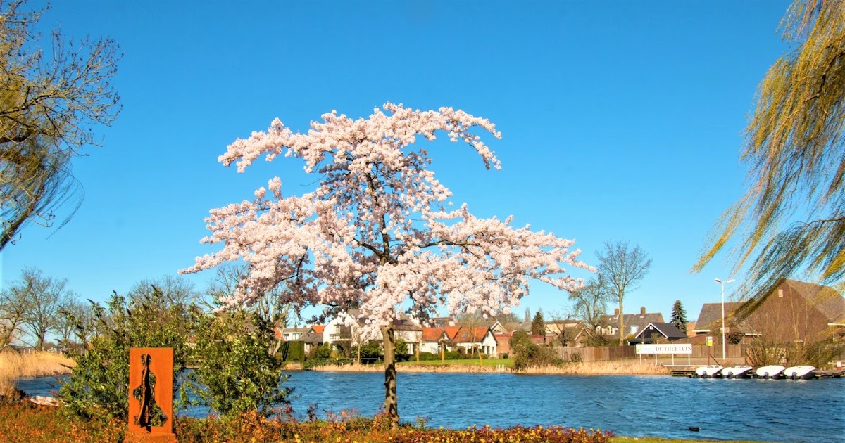Dorpen en Steden van Nederland: Rijsoord