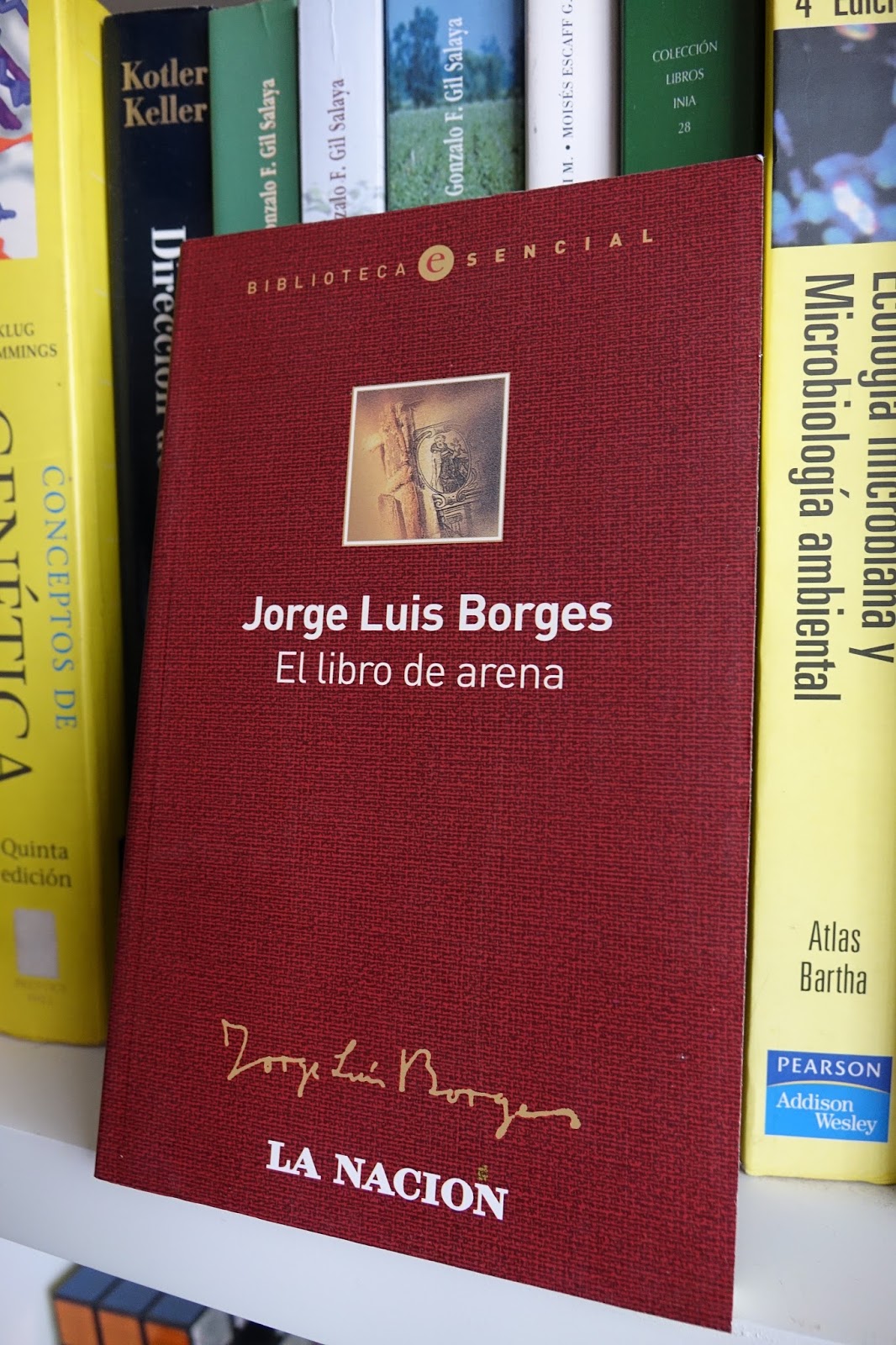 Elige un libro: ¿Con qué libro comenzar a leer a Borges?