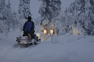 Poron neljä vuodenaikaa