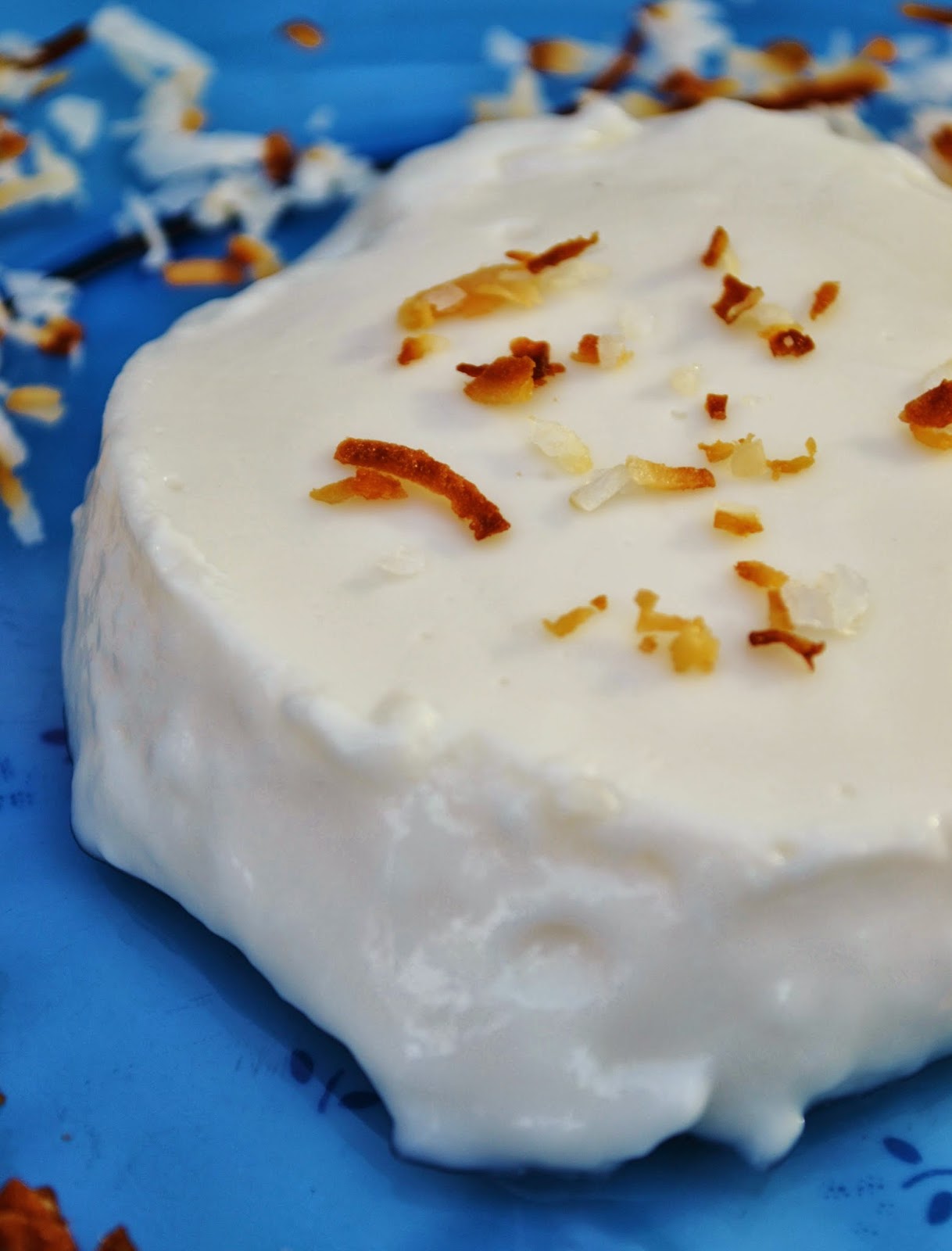 Sweet Morris: Coconut Pudding