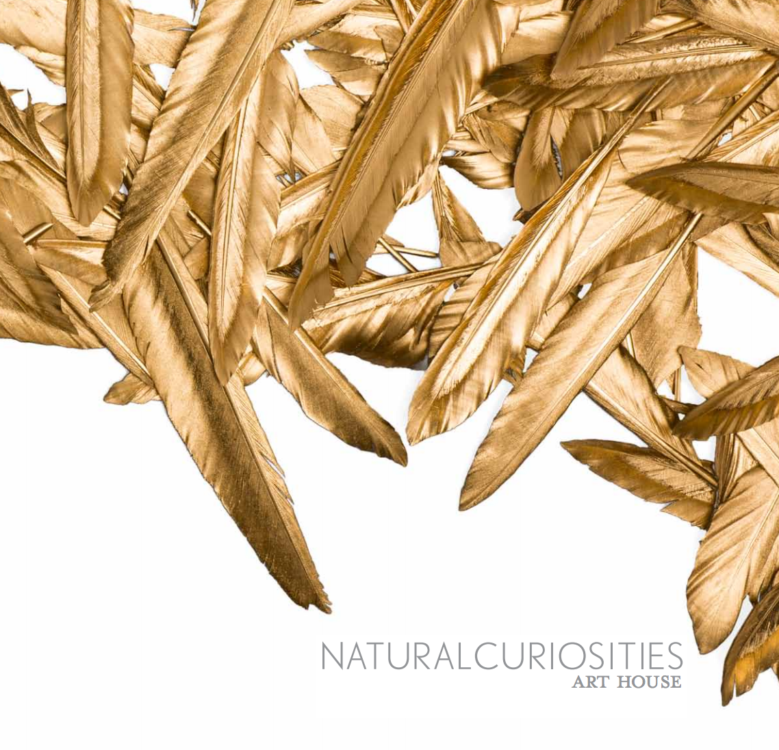 Lucy and Company: Spotlight - Natural Curiosities