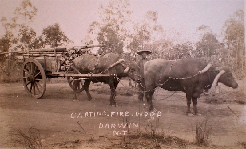 Historical Australian Towns: Darwin, NT: Australia's Most Northerly ...