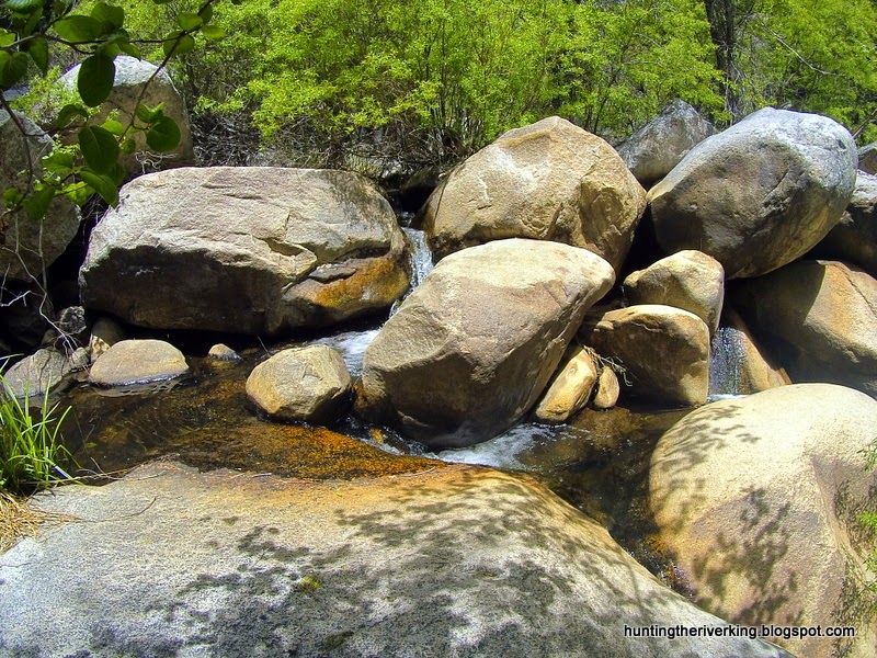 California Stream Fishing: Brown Trout - Hunting the River King