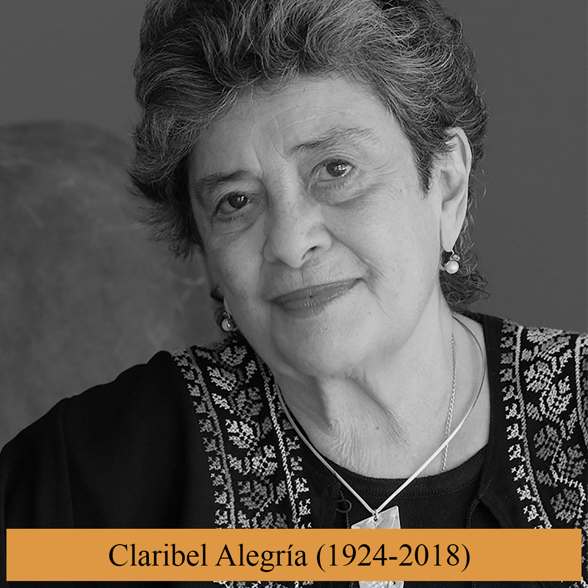 Agulha Revista de Cultura: CONEXÃO HISPÂNICA | Claribel Alegría